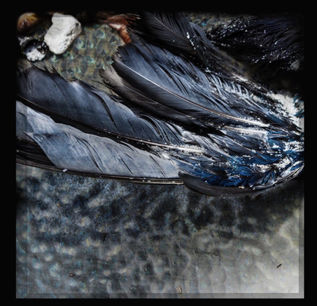 Perkinston Campus Hosts “The Indiscriminate Beauty of Riff Raff” Art ...